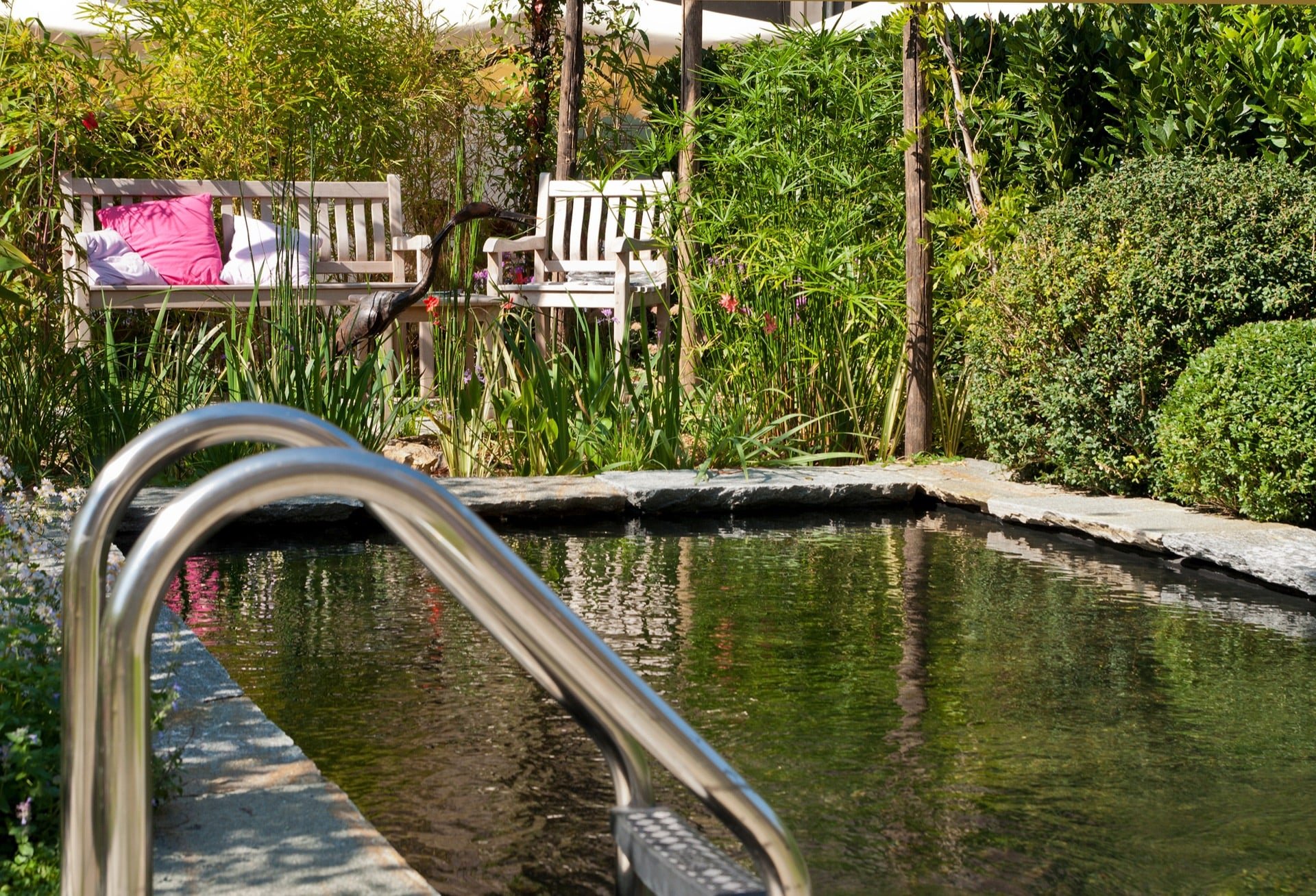 Design and install an outdoor natural swimming pool - Thackray UK